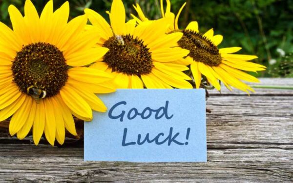 How to Attract Good Luck into Your Life: A Short Guide
