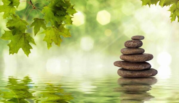 Beginner's Guide to Meditation with Basic Principles