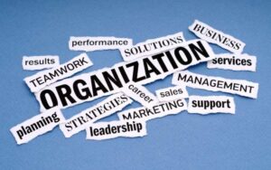 Reasons Why Organizational Structure is Crucial to Business